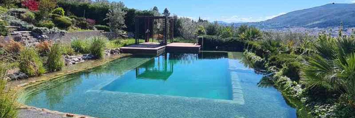 Orion Pools - Παραδοσιακές πισίνες - Φυσικές πισίνες - Orion Pools